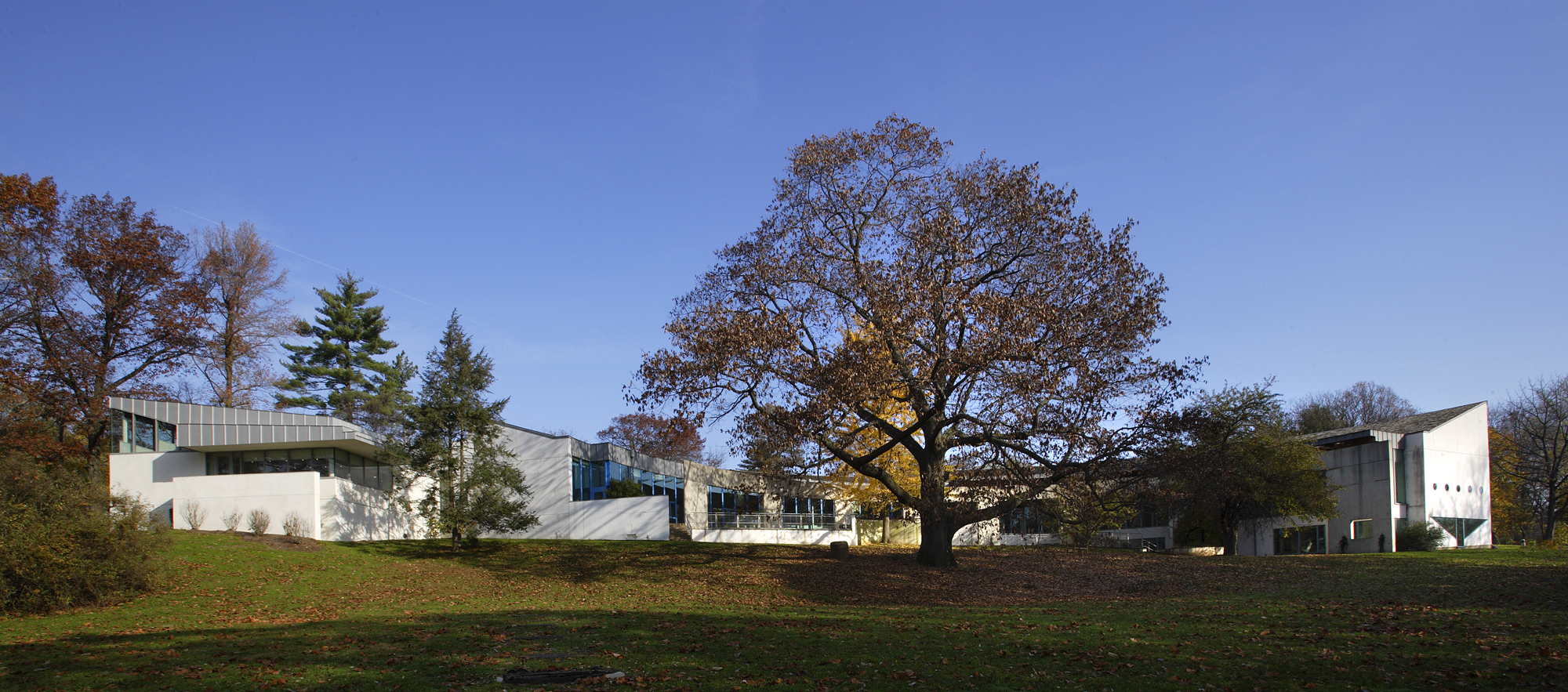 Tredyffrin Township Libraries